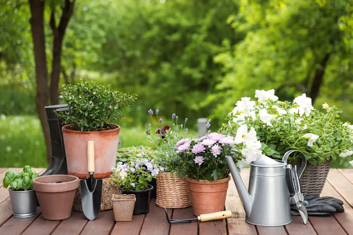 Pots pour terrasse : comment faire un choix adapté